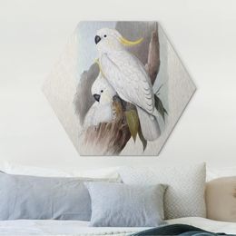 Bilderwelten Alu-Dibond Bild Hexagon Tiere beige Vintage Aquarell - Pastell Papageien III - Retro Wohnzimmer Schlafzimmer