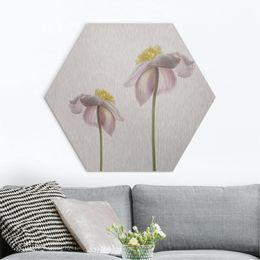 Bilderwelten Alu-Dibond Bild Hexagon Blumen beige Landhaus - Rosa Anemonenbl&uuml;ten - Deko Wohnzimmer Schlafzimmer