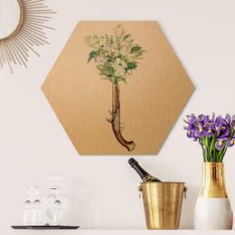 Bilderwelten Hexagon-Alu-Dibond Bild Pistole mit Blumen