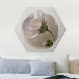 Bilderwelten Alu-Dibond Bild Hexagon Blumen beige Fotomontage Aquarell - Wasserfarben - Himmlischer Bl&uuml;tentraum - Deko Wohnzimmer Schlafzimmer