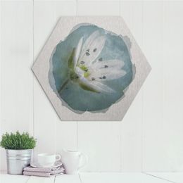 Bilderwelten Alu-Dibond Bild Hexagon Blumen beige Fotomontage Aquarell - Wasserfarben - Wei&szlig;e Bl&uuml;te auf blau - Deko Wohnzimmer Schlafzimmer
