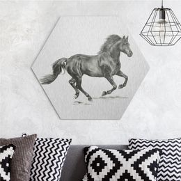 Bilderwelten Alu-Dibond Bild Hexagon Tiere weiss Illustration - Wildpferd-Studie - Hengst - Pferde Wohnzimmer Schlafzimmer