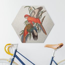 Bilderwelten Alu-Dibond Bild Hexagon Tiere beige Vintage - Tropische Papageien I - Retro Wohnzimmer Schlafzimmer