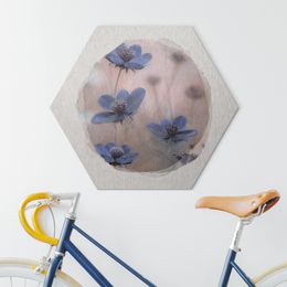 Bilderwelten Alu-Dibond Bild Hexagon Blumen beige Fotomontage Aquarell - Wasserfarben - Blaue Kosmeen - Deko Wohnzimmer Schlafzimmer
