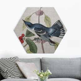 Bilderwelten Hexagon-Alu-Dibond Bild Vogel auf Leinen Rosa II