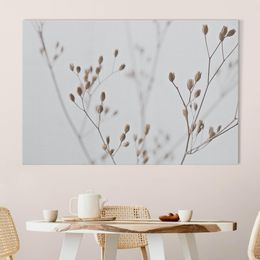 Bilderwelten Akustikbild Zarte Knospen am Wildblumenzweig