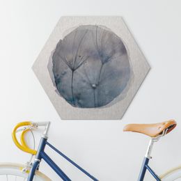 Bilderwelten Alu-Dibond Bild Hexagon Blumen beige Fotomontage Aquarell - Wasserfarben - Blaue Federn im Regen - Deko Wohnzimmer Schlafzimmer