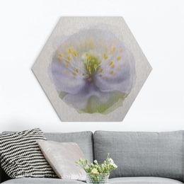 Bilderwelten Alu-Dibond Bild Hexagon Blumen beige Fotomontage Aquarell - Wasserfarben - Anemonen Sch&ouml;nheit - Deko Wohnzimmer Schlafzimmer