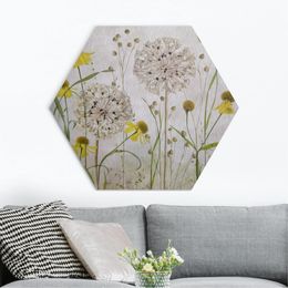Bilderwelten Alu-Dibond Bild Hexagon Blumen beige Vintage - Allium und Helenium Illustration - Retro Wohnzimmer Schlafzimmer