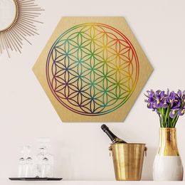 Bilderwelten Hexagon-Alu-Dibond Bild Blume des Lebens Regenbogenfarbe