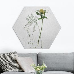 Bilderwelten Alu-Dibond Bild Hexagon Blumen weiss Tropisch Aquarell - Botanisches Aquarell - Lilie - Pflanzen Wohnzimmer Schlafzimmer