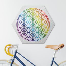 Bilderwelten Alu-Dibond Bild Hexagon Spirituell weiss modern - Blume des Lebens Regenbogenfarbe - Mandala Wohnzimmer Schlafzimmer