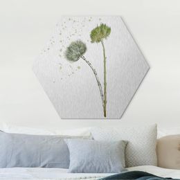 Bilderwelten Alu-Dibond Bild Hexagon Blumen weiss Tropisch Aquarell - Botanisches Aquarell - Pflanzen Wohnzimmer Schlafzimmer