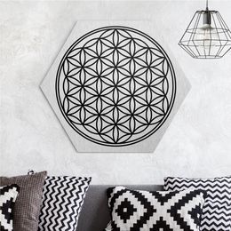 Bilderwelten Alu-Dibond Bild Hexagon Spirituell t&uuml;rkis modern - Blume des Lebens - Mandala Wohnzimmer Schlafzimmer