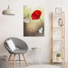 Bilderwelten Glasbild - Hochformat Mohnbl&uuml;te im Garten