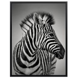 Bilderwelten Leinwandbild - Hochformat Zebra Baby Portrait II