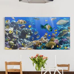 Bilderwelten Leinwandbild - Querformat Underwater Reef