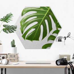 Bilderwelten Alu-Dibond Bild Hexagon Blumen weiss Tropisch - Gr&uuml;ne Bl&auml;tter Monstera - Gr&auml;ser Wohnzimmer Schlafzimmer