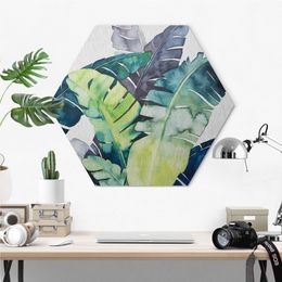 Bilderwelten Alu-Dibond Bild Hexagon Blumen gr&uuml;n Tropisch Aquarell - Exotisches Blattwerk - Banane - Pflanzen Wohnzimmer Schlafzimmer