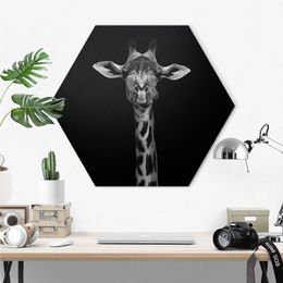 Bilderwelten Alu-Dibond Bild Hexagon Tiere schwarz weiss Motiv - Dunkles Giraffen Portrait - Giraffen Wohnzimmer Schlafzimmer