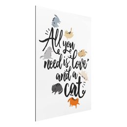 Bilderwelten Alu-Dibond Outdoor Bild All you need is love and a cat
