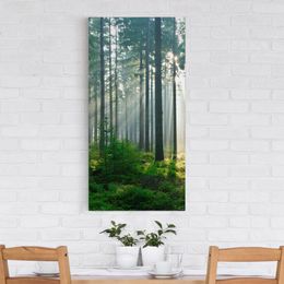 Bilderwelten Leinwandbild - Hochformat Enlightened Forest