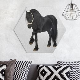 Bilderwelten Alu-Dibond Bild Hexagon Tiere schwarz modern - Friesenstute - Pferde Kinderzimmer Baby M&auml;dchen Jungen