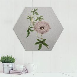 Bilderwelten Alu-Dibond Bild Hexagon Blumen gr&uuml;n Vintage - Florale Schmuckst&uuml;cke IV - Pflanzen Wohnzimmer Schlafzimmer