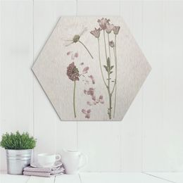 Hexagon-Alu-Dibond Bild Herbarium in rosa II