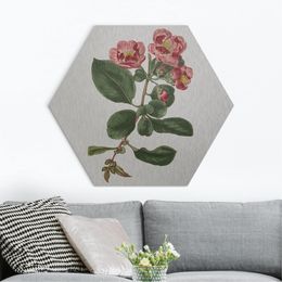 Bilderwelten Alu-Dibond Bild Hexagon Blumen gr&uuml;n Vintage - Florale Schmuckst&uuml;cke I - Pflanzen Wohnzimmer Schlafzimmer