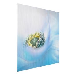 Bilderwelten Alu Dibond Outdoor Bild Blumen blau modern wetterfest - Anemone auf dem Fluss - Deko Wohnzimmer Schlafzimmer