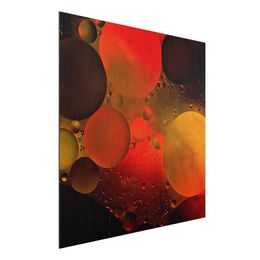 Bilderwelten Alu-Dibond Outdoor Bild Astronomisch