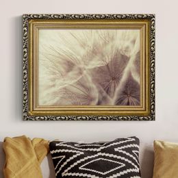 Bilderwelten Bild mit Barockrahmen Antik Blumen Vintage Barock beige - Detailreiche Pusteblumen Makroaufnahme mit Vintage Blur Effekt - Pusteblume Wohnzimmer