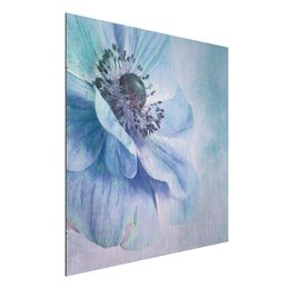 Bilderwelten Alu-Dibond Outdoor Bild Bl&uuml;te in T&uuml;rkis