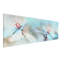Bilderwelten Alu Dibond Outdoor Bild Blumen blau Motiv wetterfest - Bl&uuml;ten in Hellblau - Deko Wohnzimmer Schlafzimmer