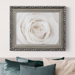 Bilderwelten Leinwandbild mit Barockrahmen Pretty White Rose