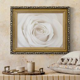 Bild mit Barockrahmen Antik - Pretty White Rose - Blumen Landhaus Barock weiss Rose Wohnzimmer Schlafzimmer