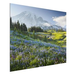 Bilderwelten Alu-Dibond Outdoor Bild Bergwiese mit blauen Blumen vor Mt. Rainier