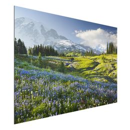 Bilderwelten Alu-Dibond Outdoor Bild Bergwiese mit blauen Blumen vor Mt. Rainier