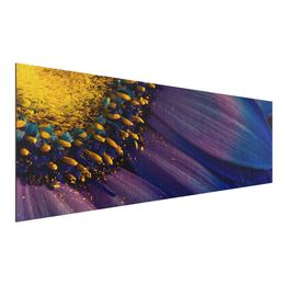 Bilderwelten Alu Dibond Outdoor Bild Blumen violett Motiv wetterfest - Blaue Gerberabl&uuml;te - Deko Wohnzimmer Schlafzimmer