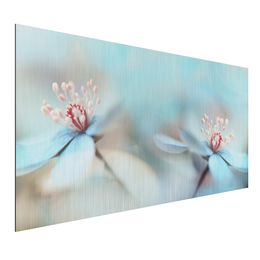 Bilderwelten Alu Dibond Outdoor Bild Blumen blau Motiv wetterfest - Bl&uuml;ten in Hellblau - Deko Wohnzimmer Schlafzimmer