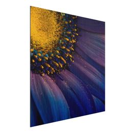 Bilderwelten Alu Dibond Outdoor Bild Blumen violett Motiv wetterfest - Blaue Gerberabl&uuml;te - Deko Wohnzimmer Schlafzimmer