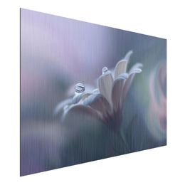 Bilderwelten Alu Dibond Outdoor Bild Blumen violett Motiv wetterfest - Behind Closed Eyes - Deko Wohnzimmer Schlafzimmer
