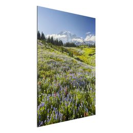 Bilderwelten Alu-Dibond Outdoor Bild Bergwiese mit roten Blumen vor Mt. Rainier