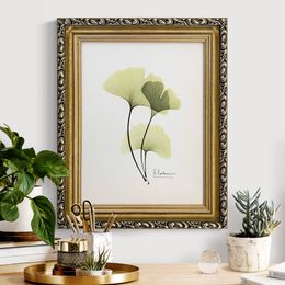 Bilderwelten Bild mit Barockrahmen Antik Motiv Barock gr&uuml;n - X-Ray - Ginkgo - edle Optik Wohnzimmer Schlafzimmer