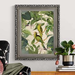 Bilderwelten Leinwandbild mit Barockrahmen Vintage Collage - Papageien im Dschungel
