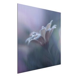 Bilderwelten Alu Dibond Outdoor Bild Blumen violett Motiv wetterfest - Behind Closed Eyes - Deko Wohnzimmer Schlafzimmer