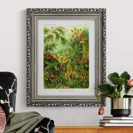 Bilderwelten Leinwandbild mit Barockrahmen Vintage Lehrtafel Moos