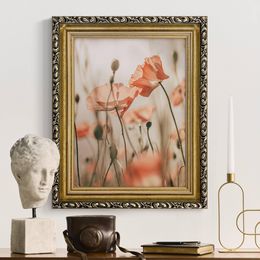 Bilderwelten Leinwandbild mit Barockrahmen Mohnbl&uuml;ten im Sommerwind
