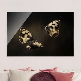 Bilderwelten Glasbild Tiere Motiv schwarz weiss Glas Wandbild - Medioluto Norte - Deko Wohnzimmer Schlafzimmer